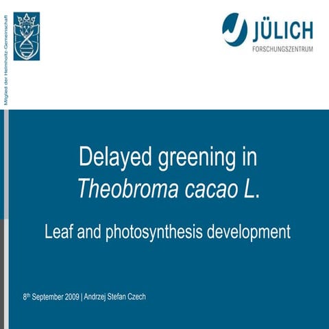 Delayed greening in theobroma cacao L 2009 | PPT