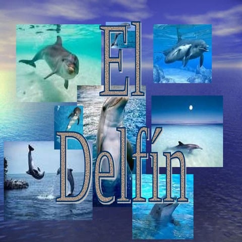 Los delfines | PPTX