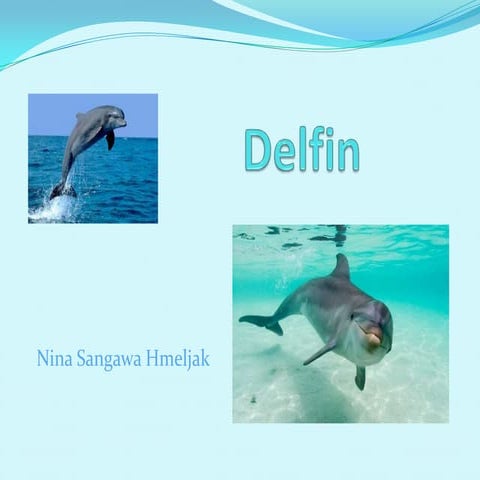 Delfin | PPTX