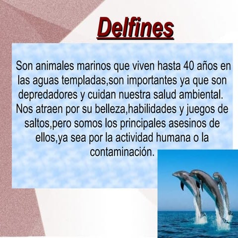 LOS DELFINES | PPTX