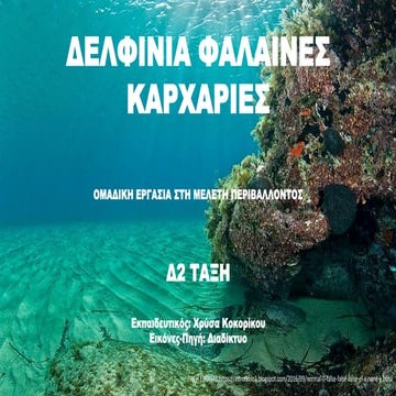 ΧΡΥΣΑ ΚΟΚΟΡΙΚΟΥ Δ2 DELFINIA FALAINES KARXARIES.pdf