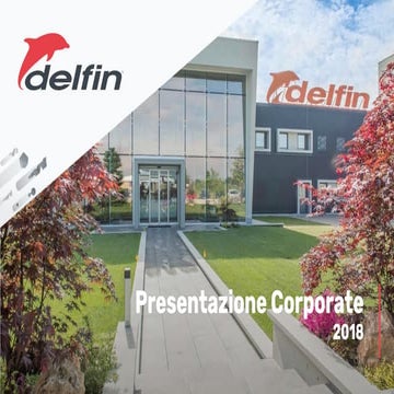 Delfin Industrial Vacuums | Presentazione 2018 | PPT