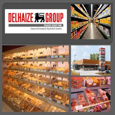 Delhaize group: Financial analysis - Jennifer Vermander | PPT