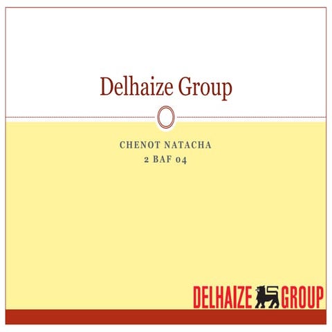 Delhaize group | PPTX