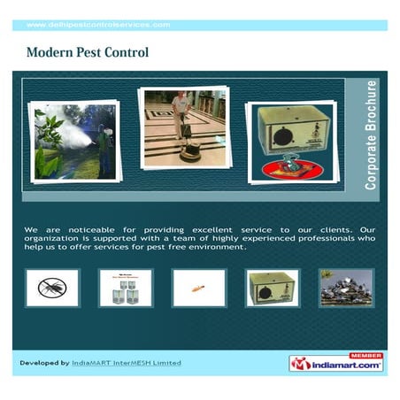 Modern Pest Control, New Delhi, Pest Control Management | PDF