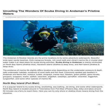 Plan A Perfect Scuba Diving in Andaman Trip to Explore Hidden Sea Gems ...