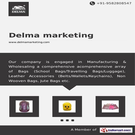 Delma marketing | PDF