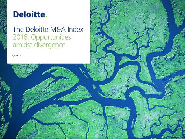 Learning And Development Initiatives At Deloitte learning-and-development-initiatives-at-deloitte