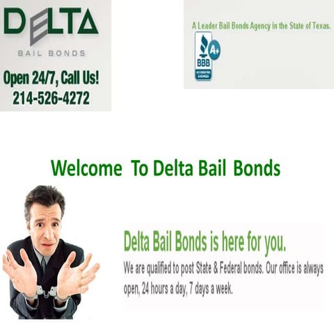 Delta bail bonds | PPT