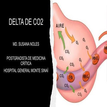 DELTA DE CO2.pptx