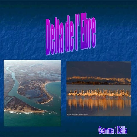 Delta de l’ebre1 | PPTX