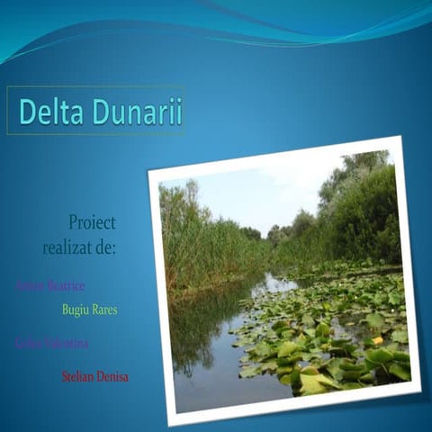 Proiect delta dunarii | PPT