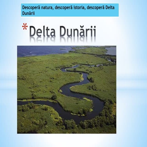Delta dunarii | PPTX