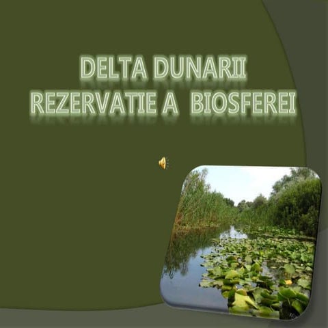 Proiect delta dunarii | PPT
