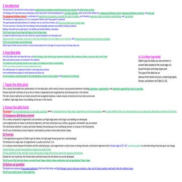 Delta Lithologic Facies Classification.pptx