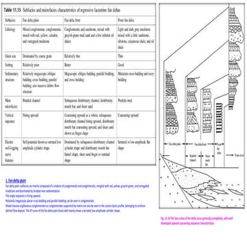 Delta Lithologic Facies Classification.pptx