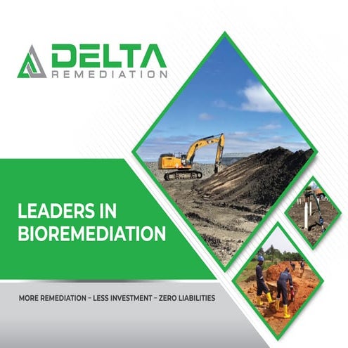 Delta Remediation Overview | PDF