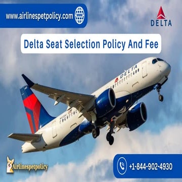 Delta Air Lines Boarding Process: A Walk-Through | PDF