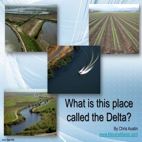 What is this place called the Delta? | PPT