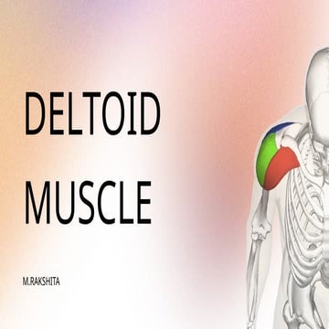 Deltoid muscle, origin insertion and movement | PPT