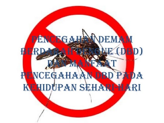 Penyuluhan tentang demam berdarah dengue | PPTX