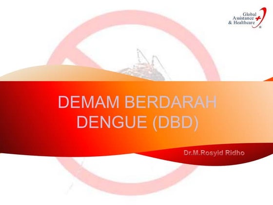 MATERI PENYULUHAN DEMAM BERDARAH | PPT