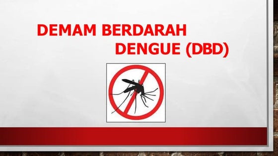 MATERI PENYULUHAN DEMAM BERDARAH | PPTX