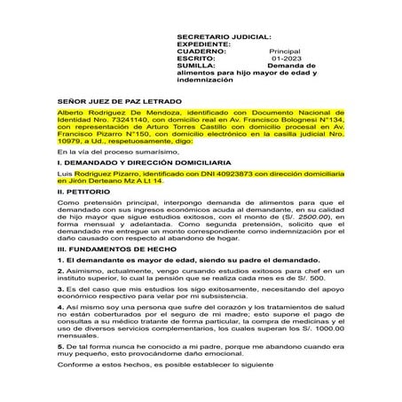 DEMANDA CIVIL (1).docx