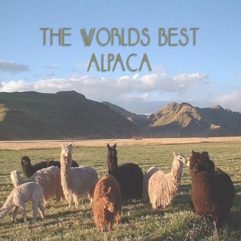 De marco Alpaca CUBRECAMAS DE 100 % ALPACA HECHAS A MANO | PDF