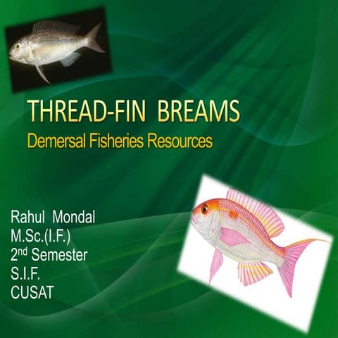 Demersal fisheries resources thread-fin breams | PPTX