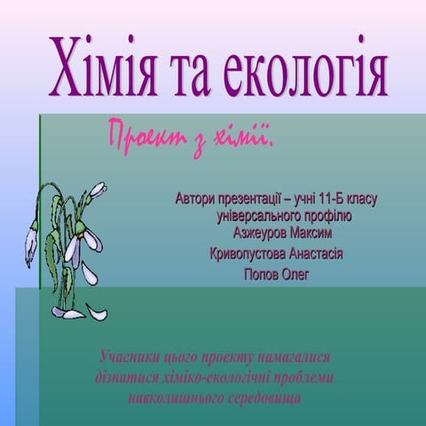 Demeshko irina 2 | PPT