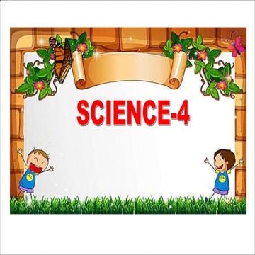 FORCES AND MOTION SAFETY TOOLS IN FORCES | PPTX