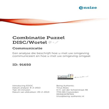 Demo Puzzle DISC & Driving Forces (Ensize International) | PDF
