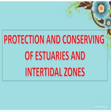 Conservation and Protection of Estuaries and Intertidal Zones.pptx