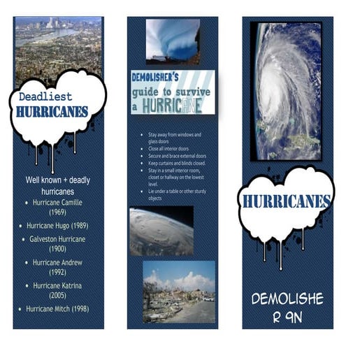 Demolisher hurricane brochure | DOCX