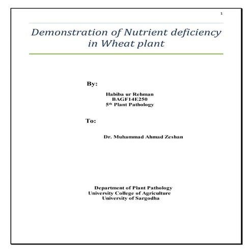 Demonstration on-nutrient-deficiency-in-wheat-plant | DOCX