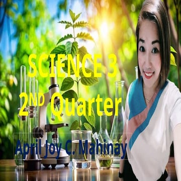 DEMONSTRATION POWER POINT FOR GRADE 3 PP | PPTX