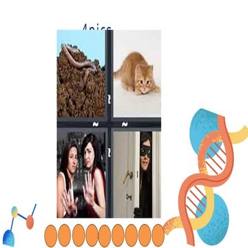 Demo Ppt Parasites Final Pptx For Your Parasitology Subject Pptx
