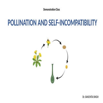 DEMOnstration POLLINATION in plants.pptx
