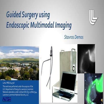 Guided Surgery using Endoscopic Multimodal Imaging by Stavros Demos | PPTX