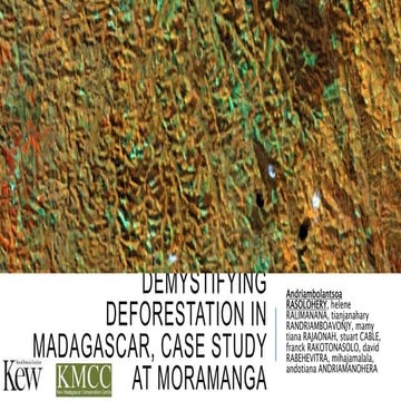 Demystifying deforestation atbc | PPTX | Photo Editing Software ...