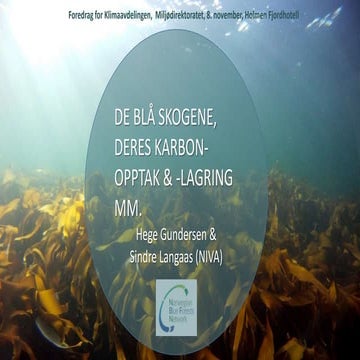Den blå skogene, deres karbonopptak, mm : Hege Gundersen & Sindre ...