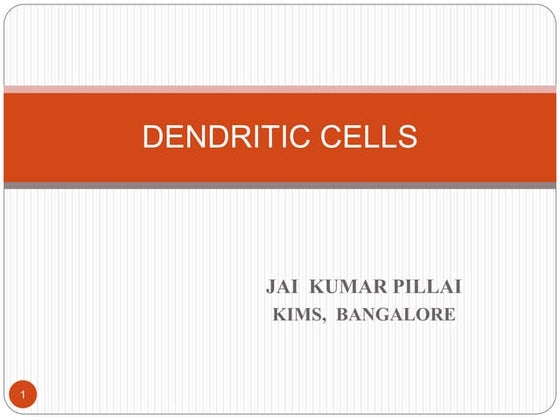Dendritic Cells Functions And Types Pptx