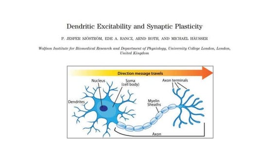 Ch 19 synaptic_plasticity | PPTX
