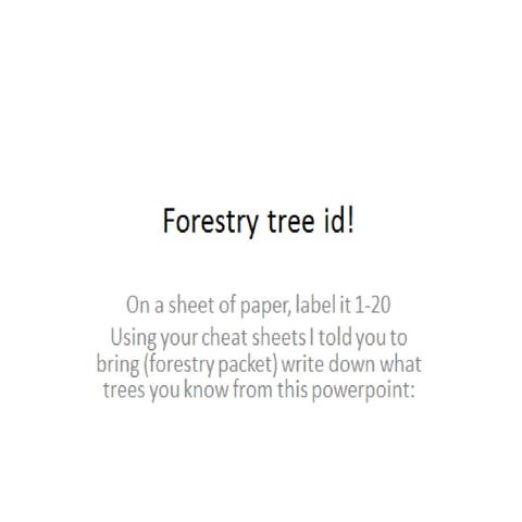 Dendrology quiz 1 | PDF
