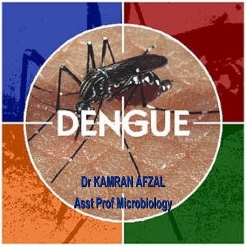 Dengue | PPT