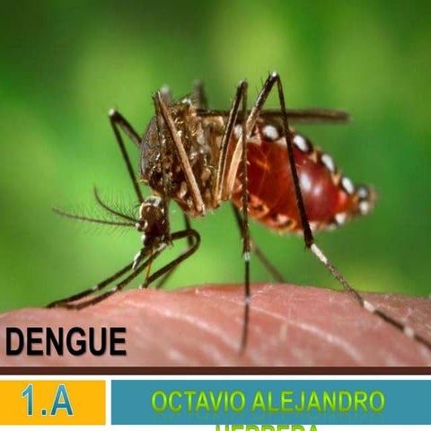 Presentacion del Dengue y como prevenirlo.pptx