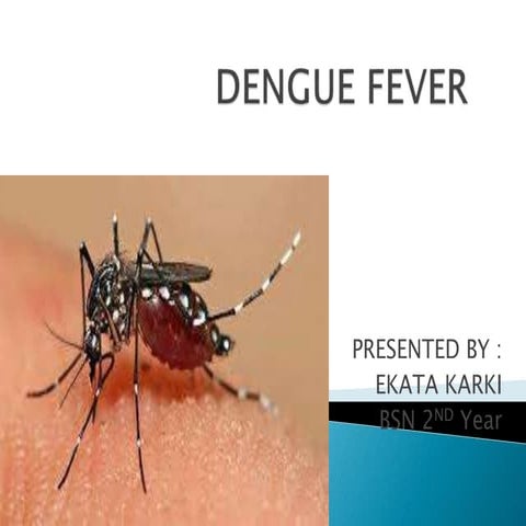 Dengue | PPTX