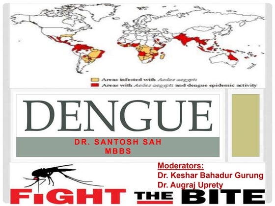 National dengue control and prevention program | PPTX | Infectious ...