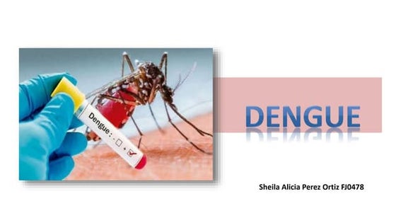 Explaining the WinBuilder framework | PDF | Shareware and Freeware | Computer Software and ...